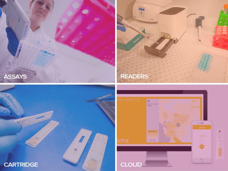 PI launches Lumos: A unique, complete solution provider for rapid point ...